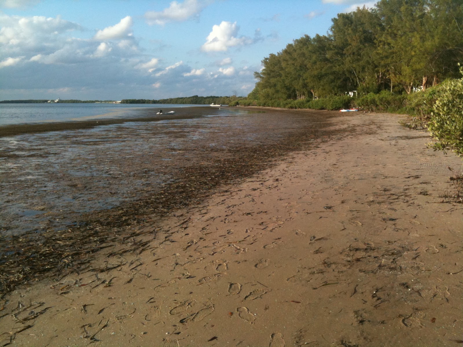 Setting Up Camp: Ft DeSoto