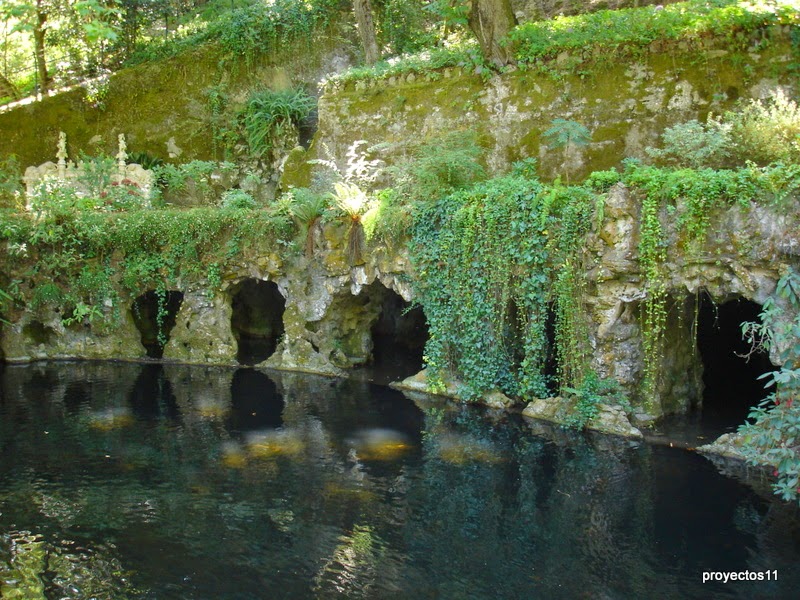 La senda del genio del lugar: CENIZO, PALO CENIZO ( Leucophyllum ...