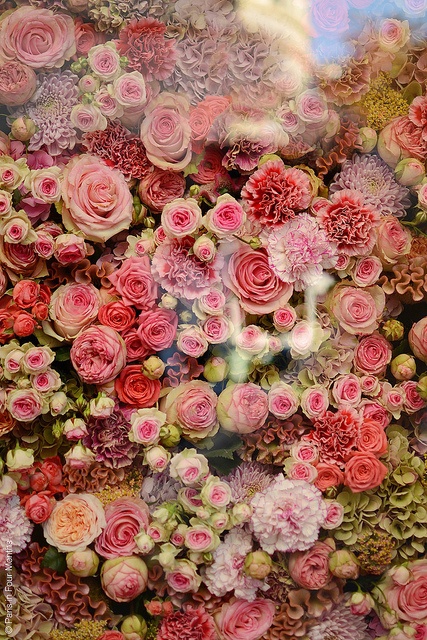 LET'S STAY: Flower Wall Ideas Floral wall Inspirations