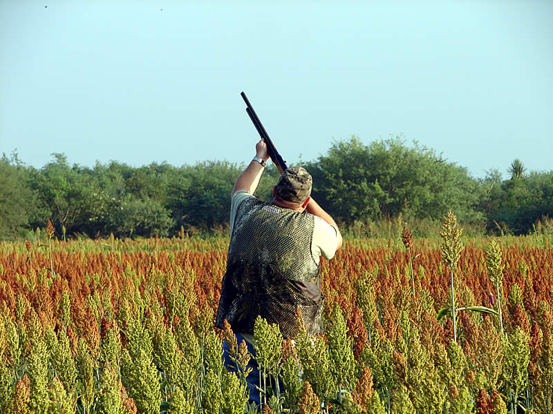 ნადირობა: ისტორია