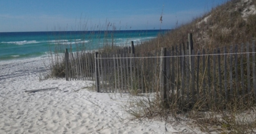 Susan Snyder: Beach Cottage