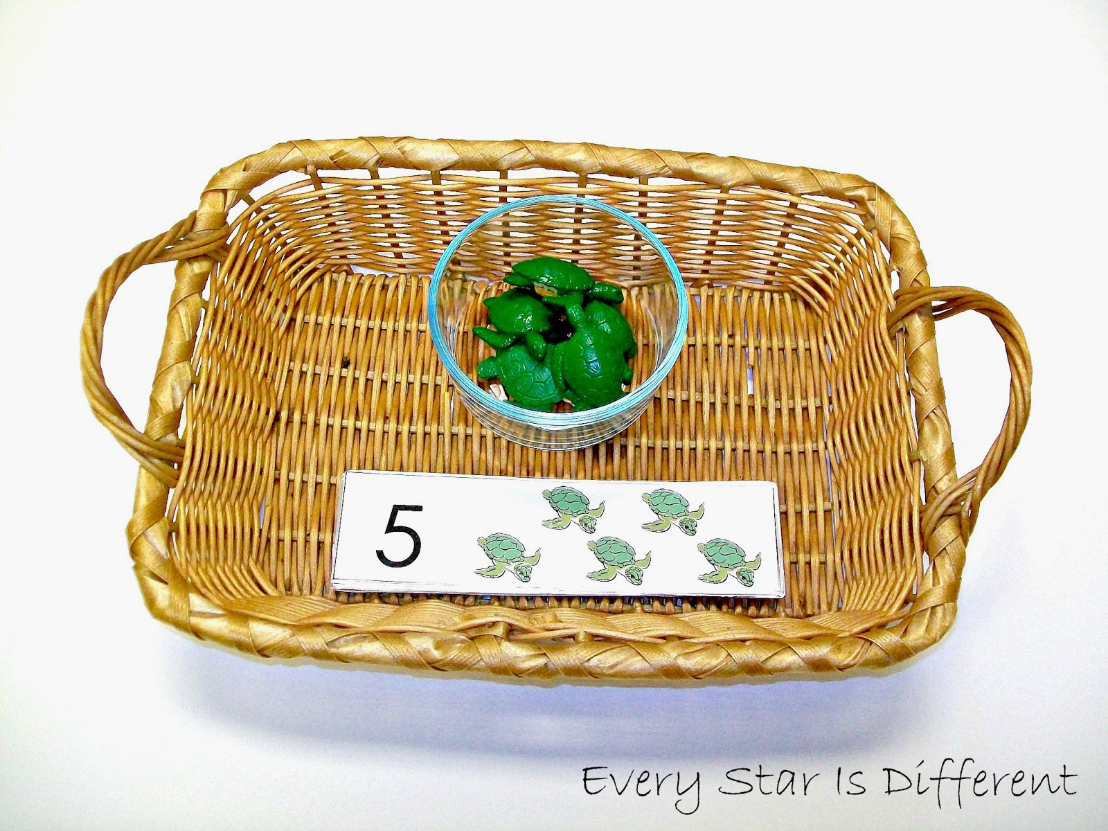 Sea Turtle Activities for Tots with Free Printables - Every Star Is ...