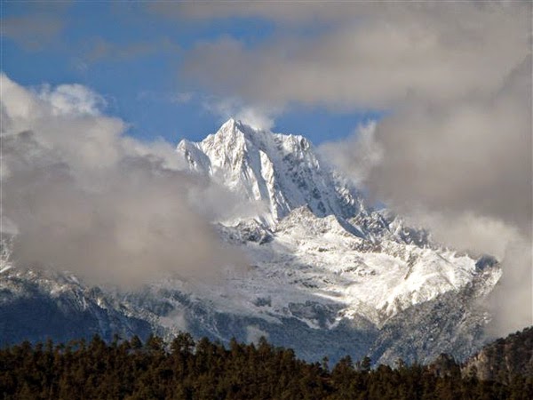 Embracing Individuality