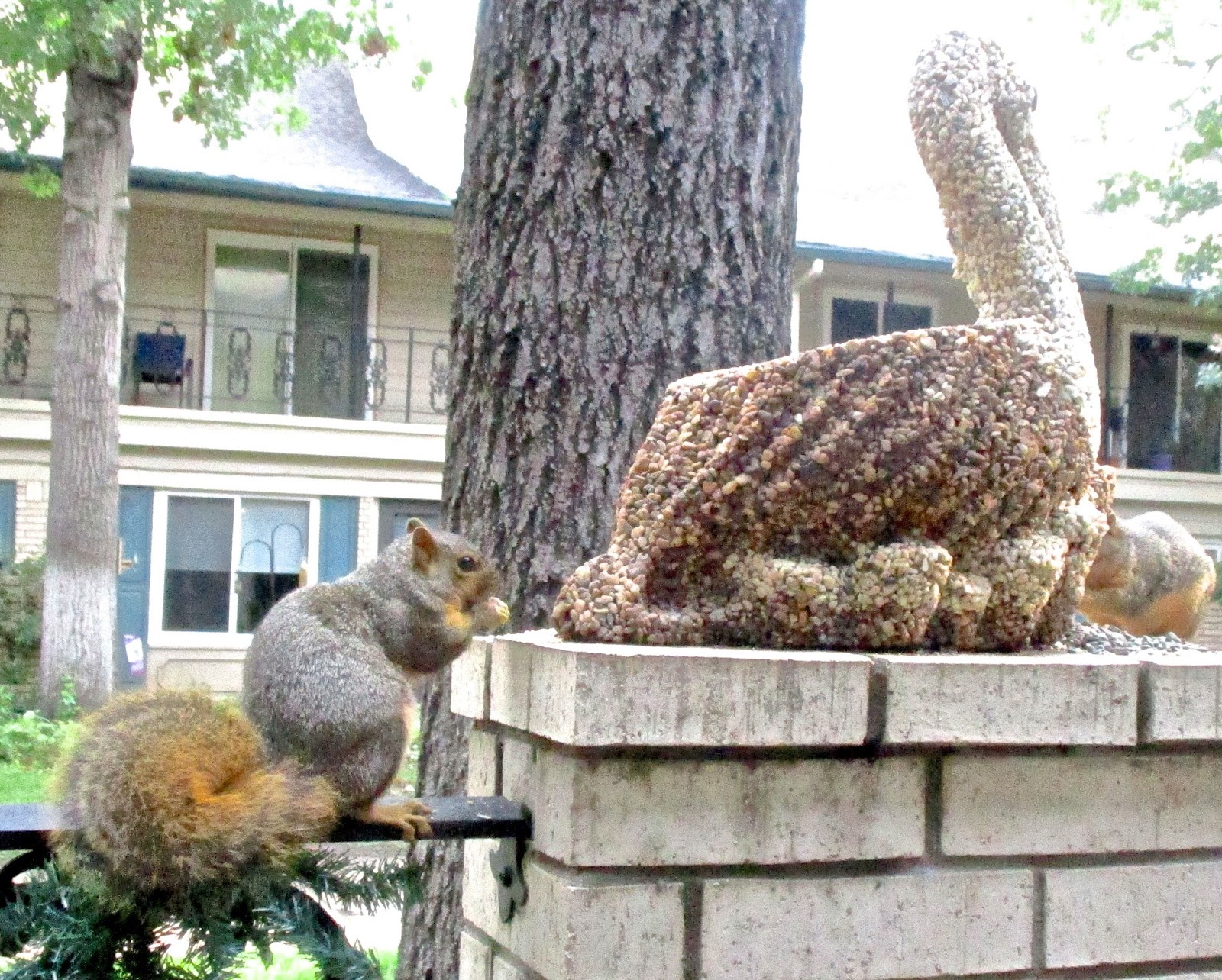 jkwgalleries: Squirrels, Barn, Clouds, Fountain and Helicopter