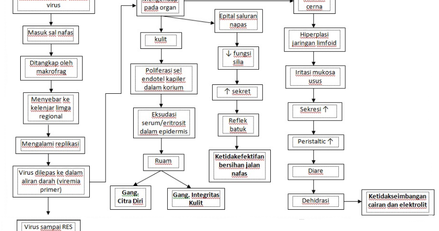 Laporan Pendahuluan Morbili / Campak, Download format pdf dan doc