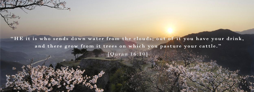 Free Islamic Wallpapers: New 2012 Islamic Facebook Covers