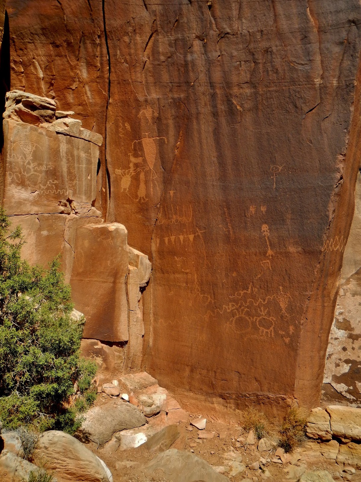 The Southwest Through Wide Brown Eyes: Shay Canyon - Rock Art Panels ...