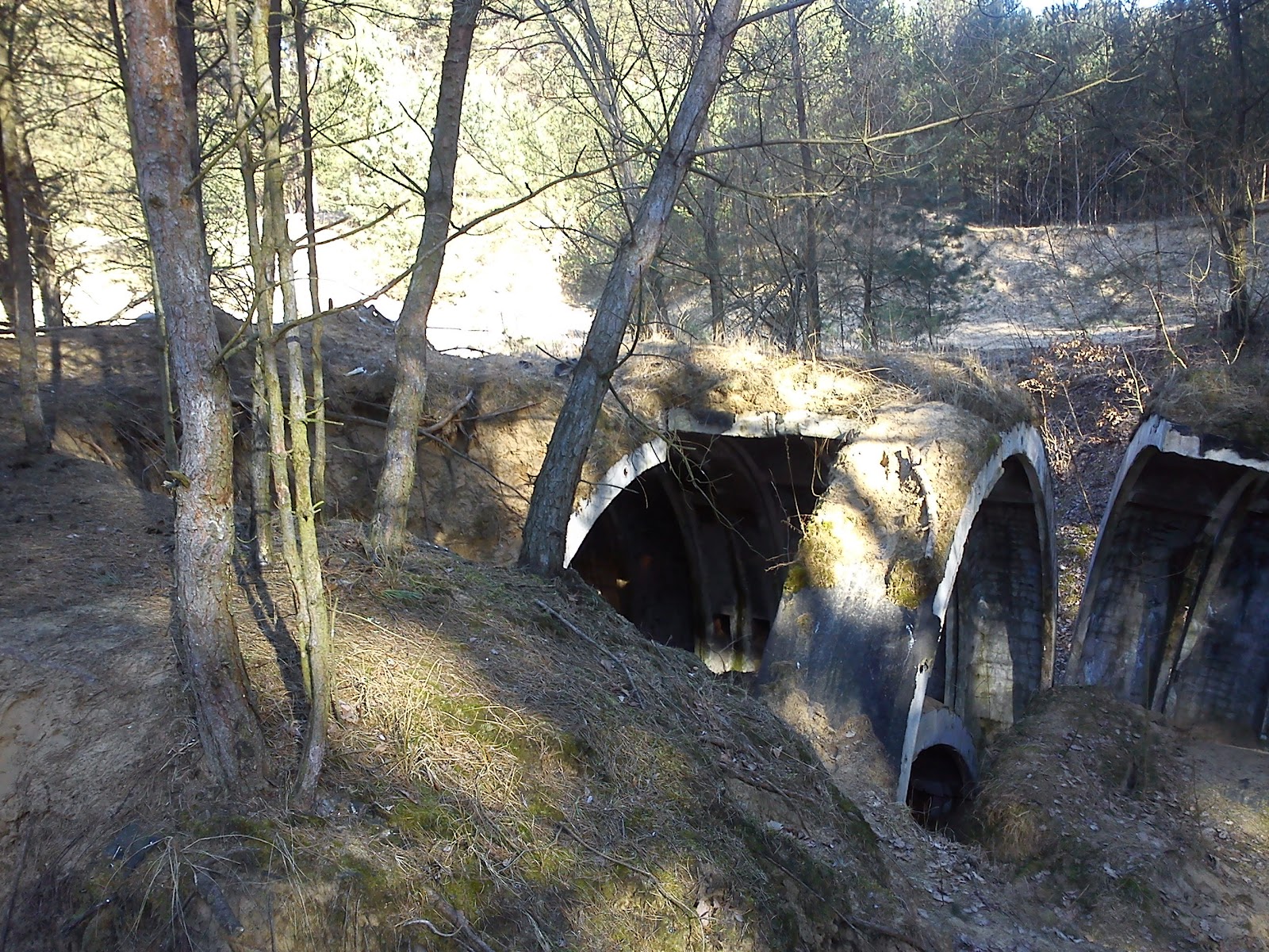 szczecinianka: Lapidarium Radziszewo, Ruiny Tartaku i Młyna nad Omulną ...
