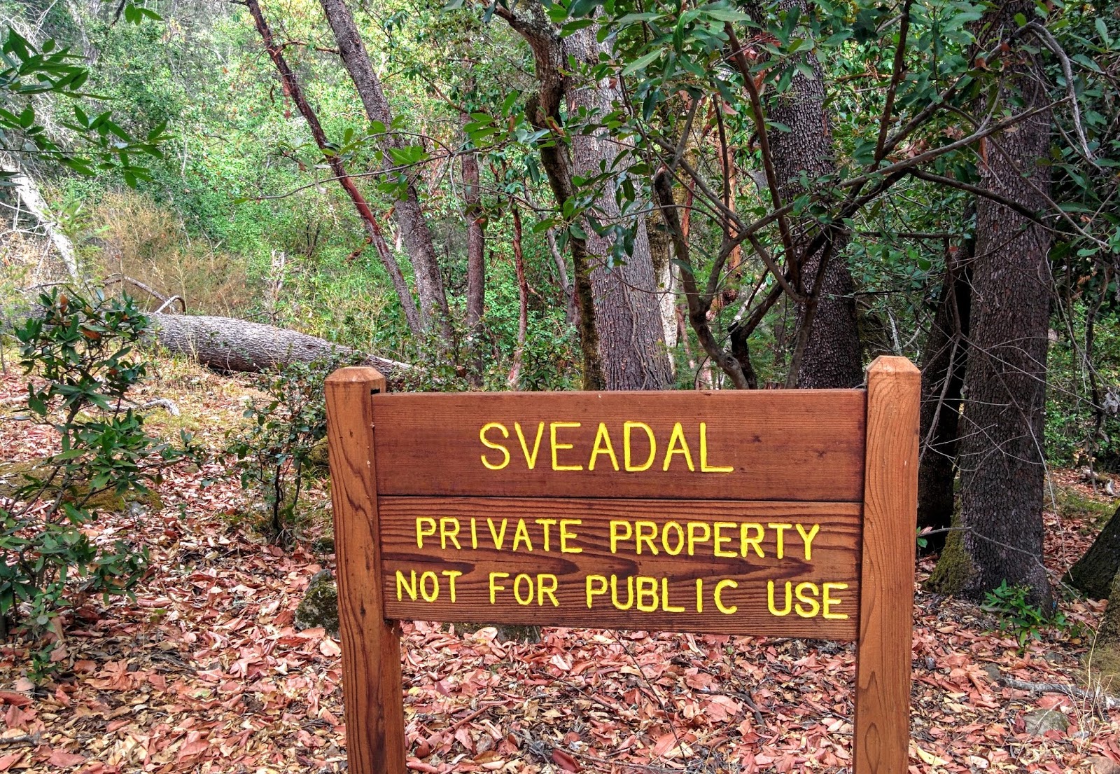 Ribs & Coke - Ripsiä ja kollaa: Sveadal, kummallinen ruotsalaisyhteisö ...