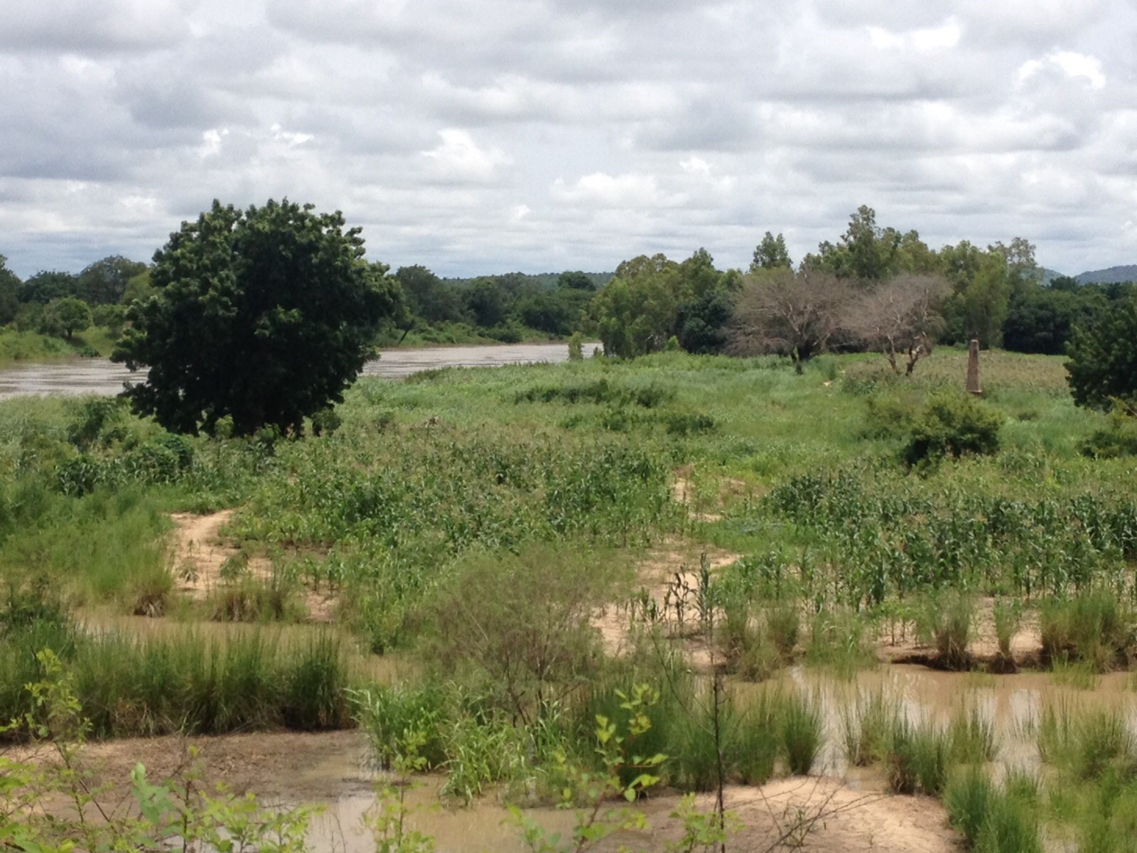 [Photos] Bagre Dam spillage: farms around begins experiencing submergence
