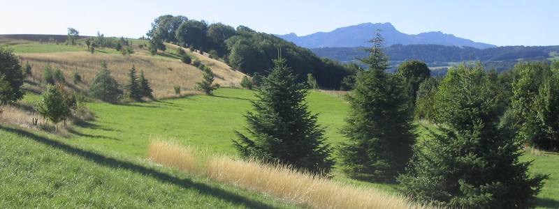 Arboretum Vert Ecarlate: Accueil