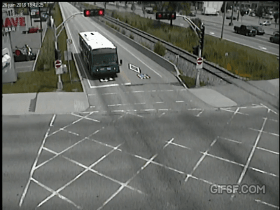 캐나다 자라니 cctv.gif - 움짤 - 움짤저장소