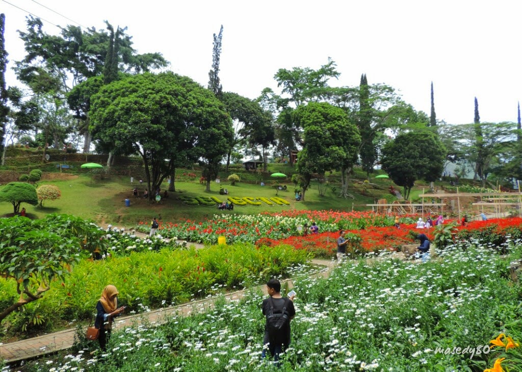 SELECTA: BUNGA-BUNGA DI MANA-MANA - alaMasEdy