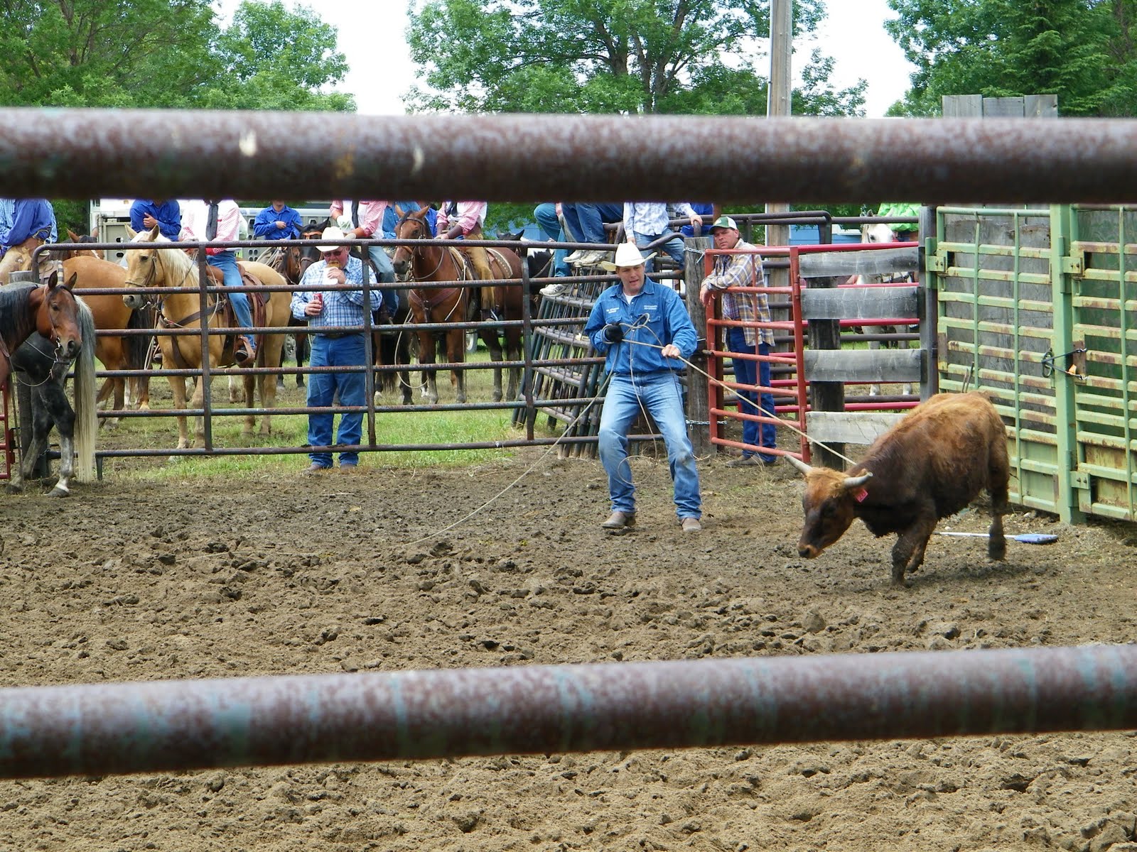 Crazy Town ND Fischer Prairie: Ranch Rodeo...a super fun event at the ...