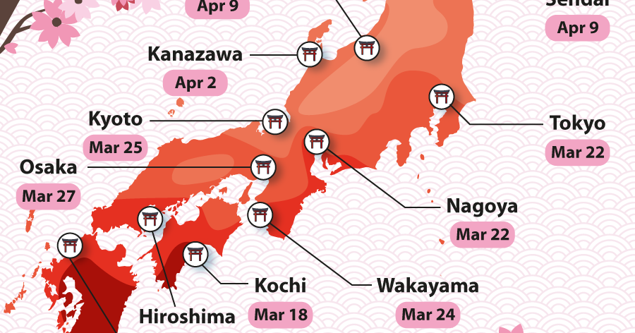 HANAMI: quando partire per ammirare i sakura in fiore