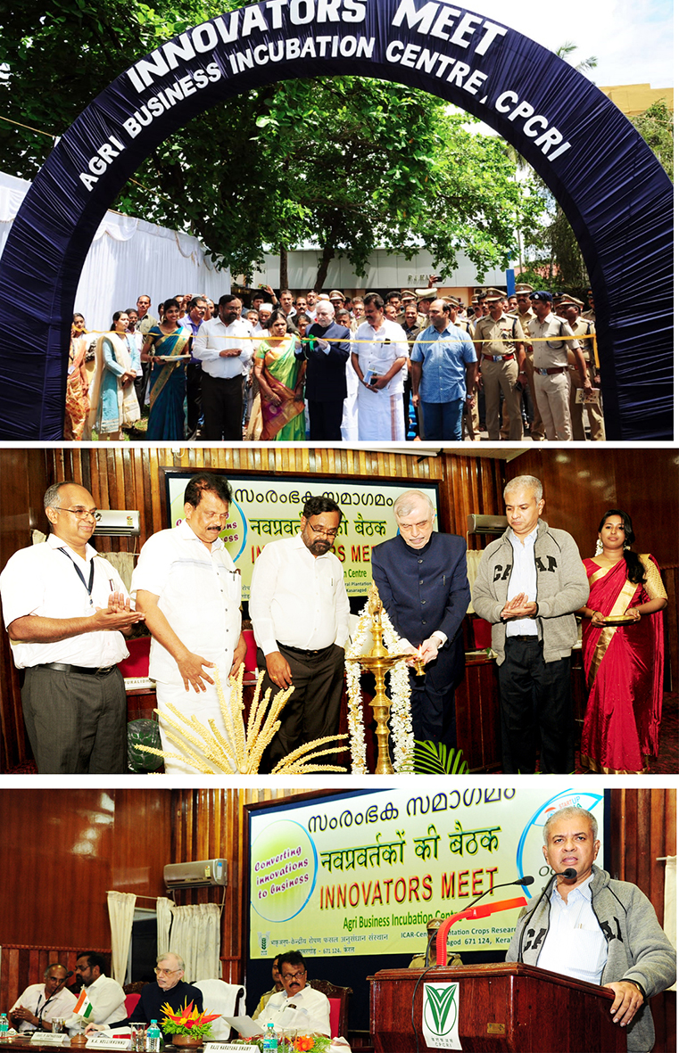 Dr. Raju Narayana Swamy IAS