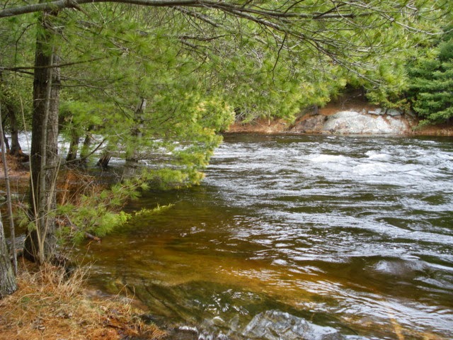 The Bracebridge Photo Project: Spring Along the Muskoka River @ Bass Rock