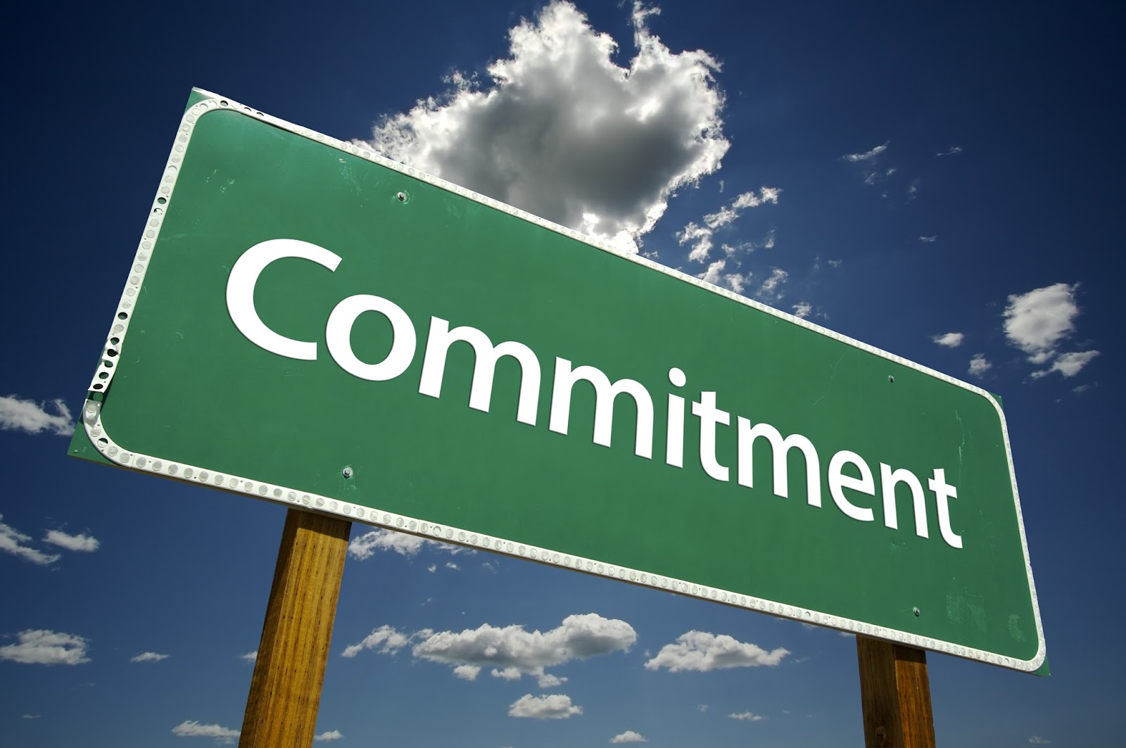 TREND WIZARD: Commitment and Focus