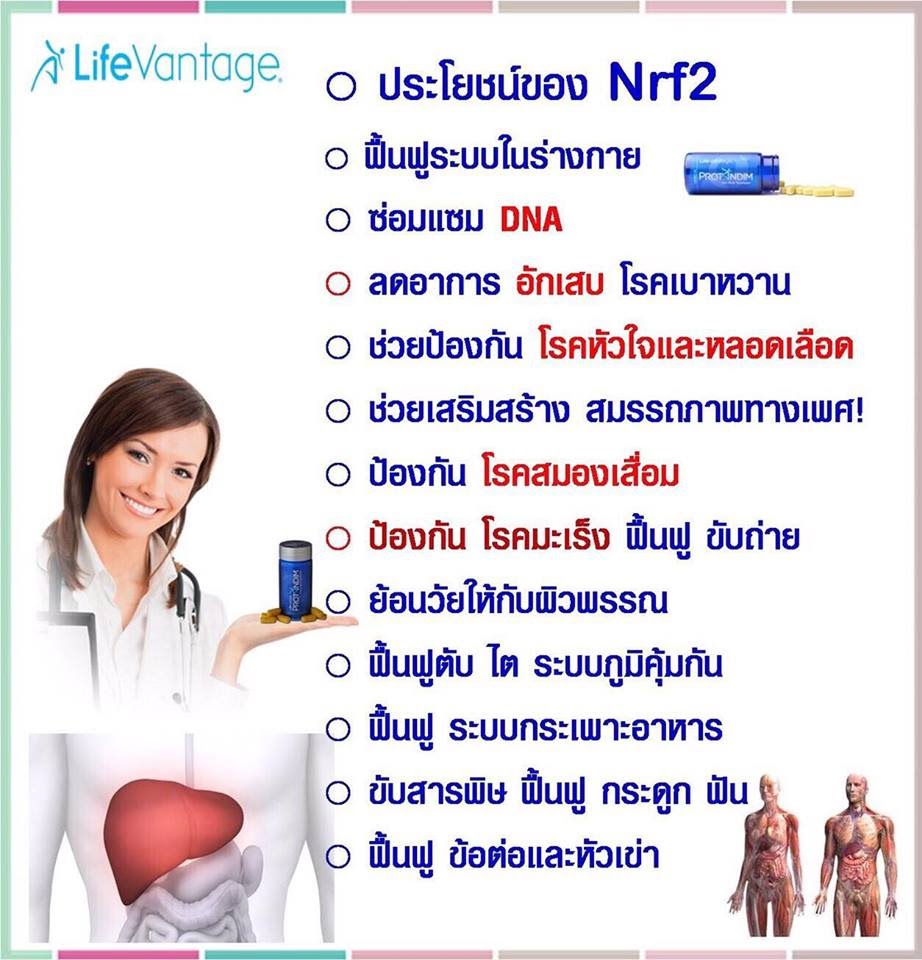 LifeVantage Thailand: Protandim Nrf2 โปรแทนดิม เอ็น อาร์ เอฟ ทู (เนิฟทู)