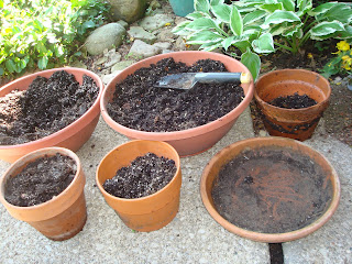 From Which Things Grow: Who Knew? How To...Jazz up Patio Pots & Containers