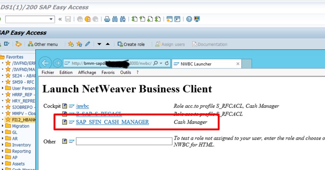 SAP FICO Corner: S/4 HANA Banking configuration / Bank Account creation