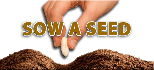 PREACH BE A VOICE NOT AN ECHO: "Spiritual Adjudication"- The Time of ...