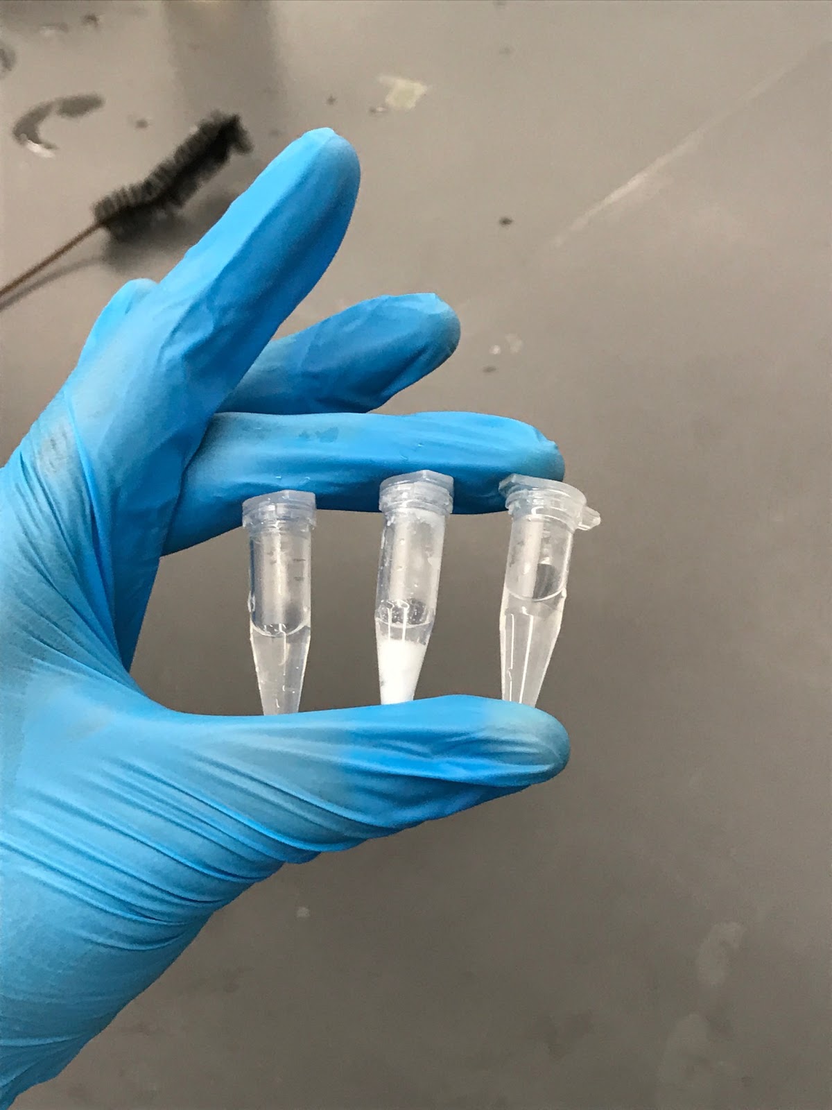 Lab 14: Ester Synthesis