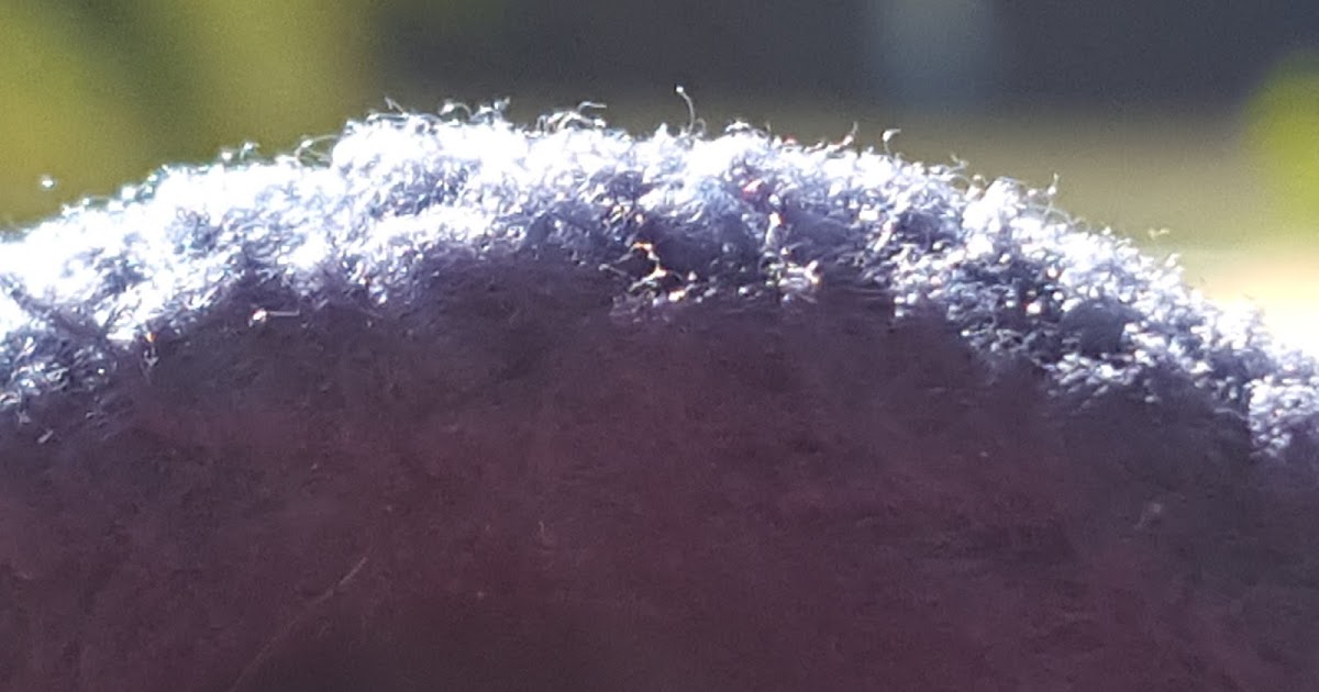 NH Marine Debris: The Surprising Impacts of Synthetic Fibers