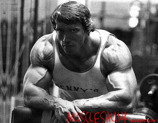 Arnold Schwarzenegger-The Legend Of Bodybuilding | Bodybuilding and ...
