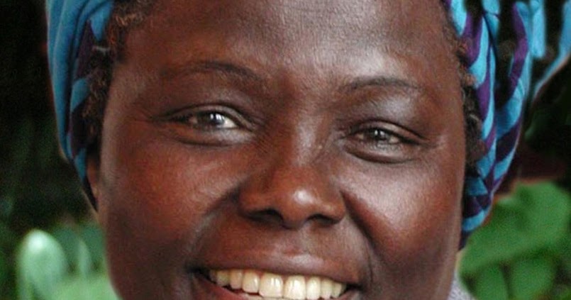 Morte na História: MORTE DE WANGARI MAATHAI