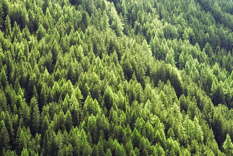 Fotografía Sublime - Las Mejores Fotografías del Mundo