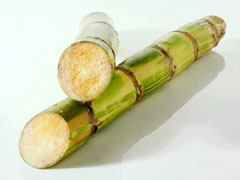 Khasiat dan Manfaat Tebu - Buletin Arti