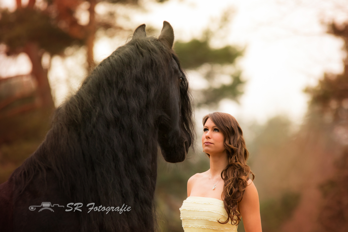 SR Fotografie: Workshop Pferdefotografie von TomsPic am 12.03.2016