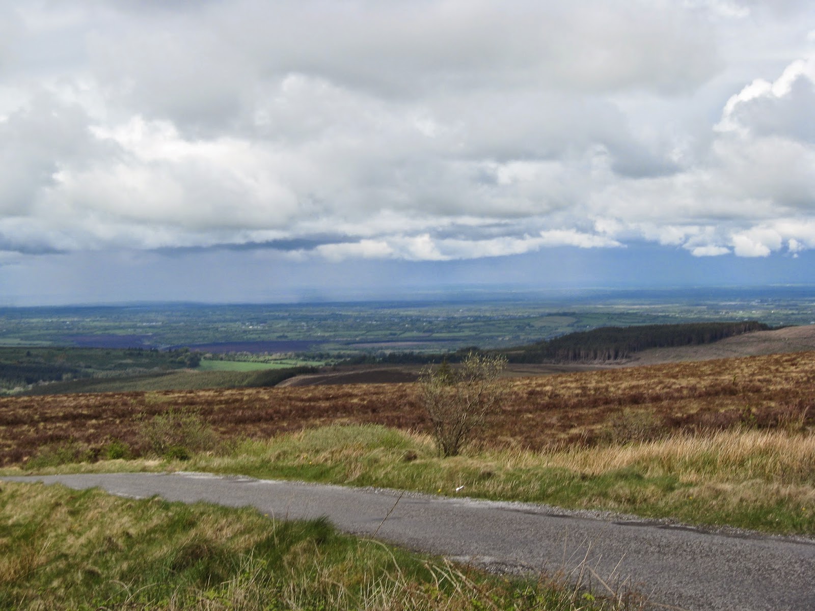Essay-eh: Views from the Slieve Bloom Mountains