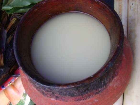 ALL YOU NEED IS ECUADOR: CHICHA DE CHONTA Y YUCA