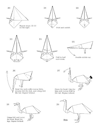 PAPIROFLEXIA PARA TOD@S: IBIS