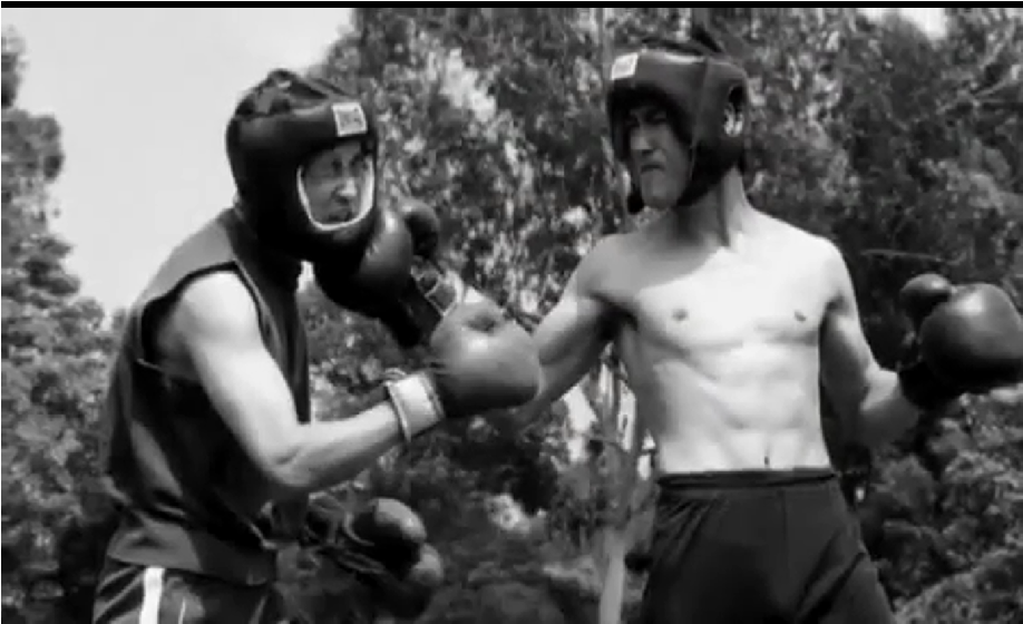 Mixed Martial Arts(MMA): What is MMA? apa itu mma?