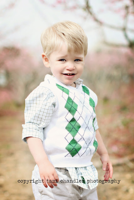 Tami Chandler Photography: two year-old towhead {mine}