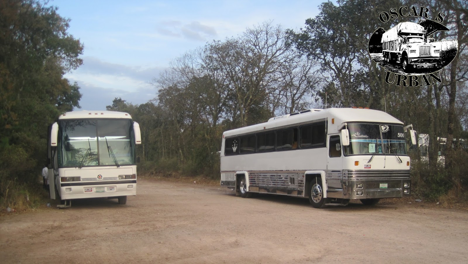 Gente Creativa Club: OISA HALCON Royal Caribbeans ´´500´´