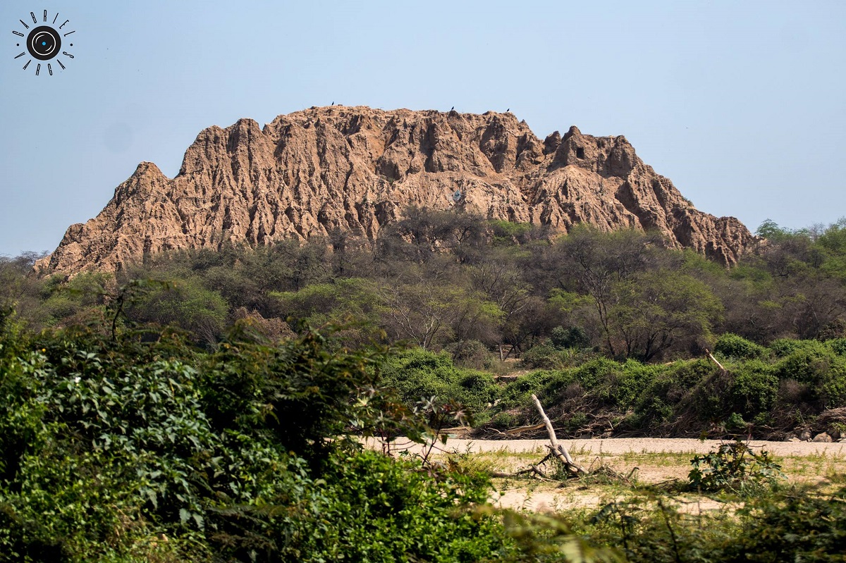 Complejo Arqueológico Sicán (Batán Grande) - Pómac en Pitipo