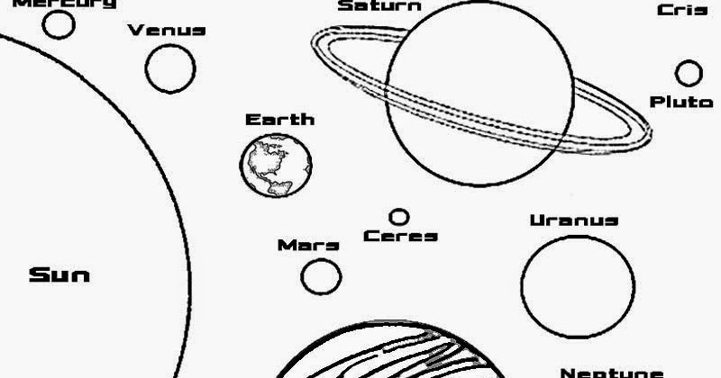 Skin Integumentary System Coloring Worksheet Sketch Coloring Page
