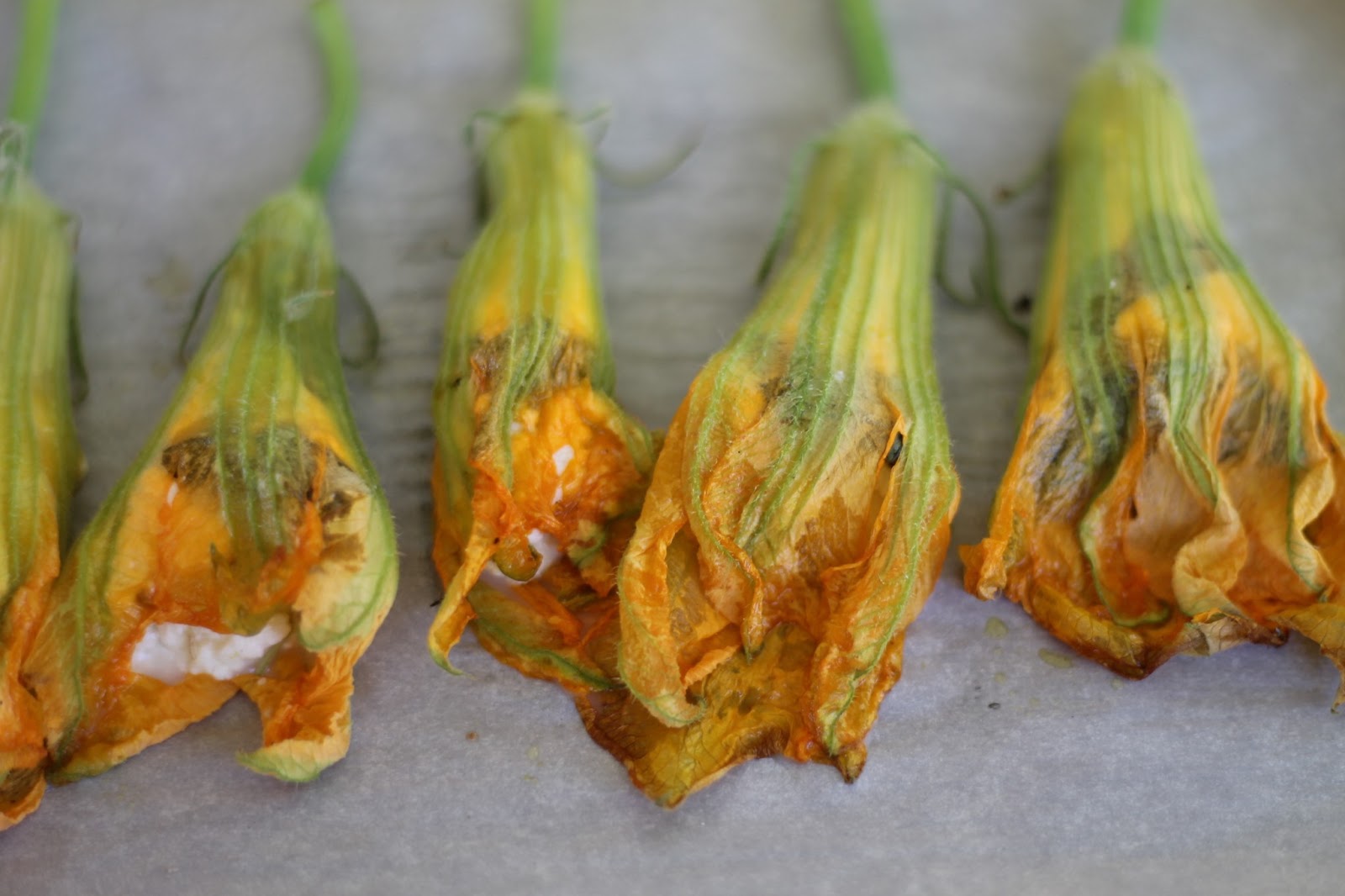 Ricotta and basil zucchini flowers - The Shady Baker