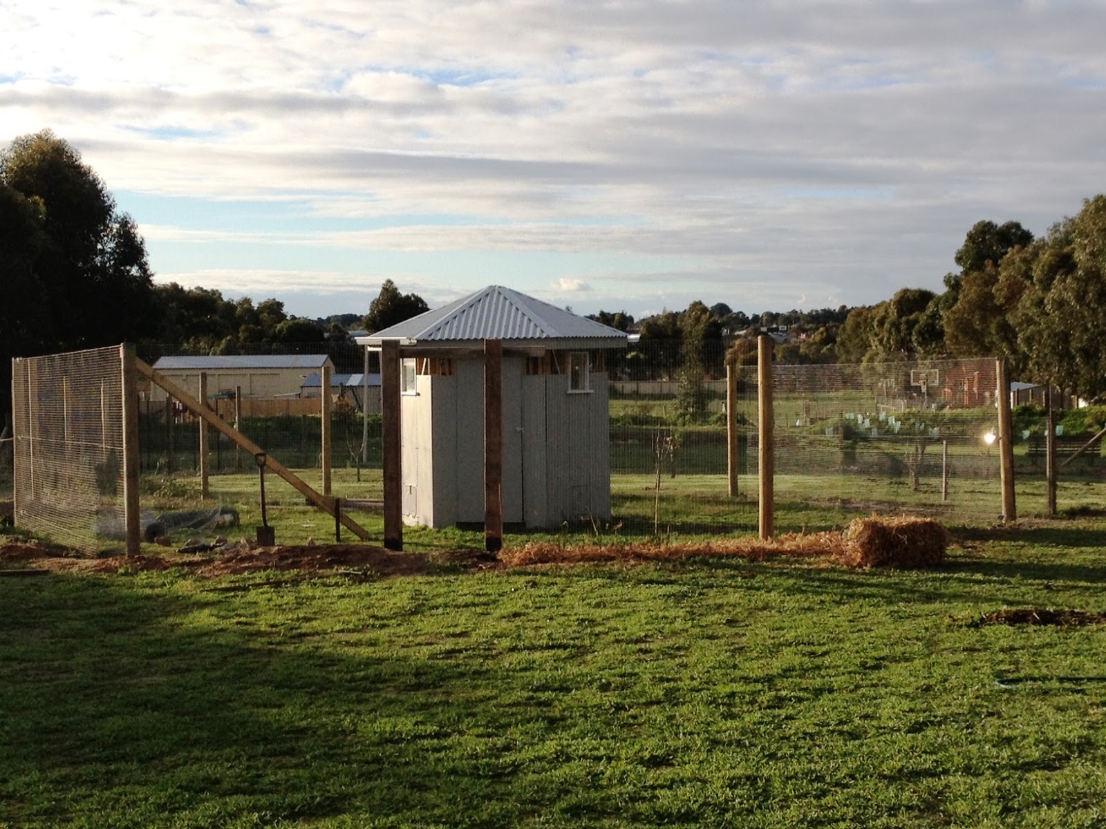 My Big Backyard: Vermin-proof fence