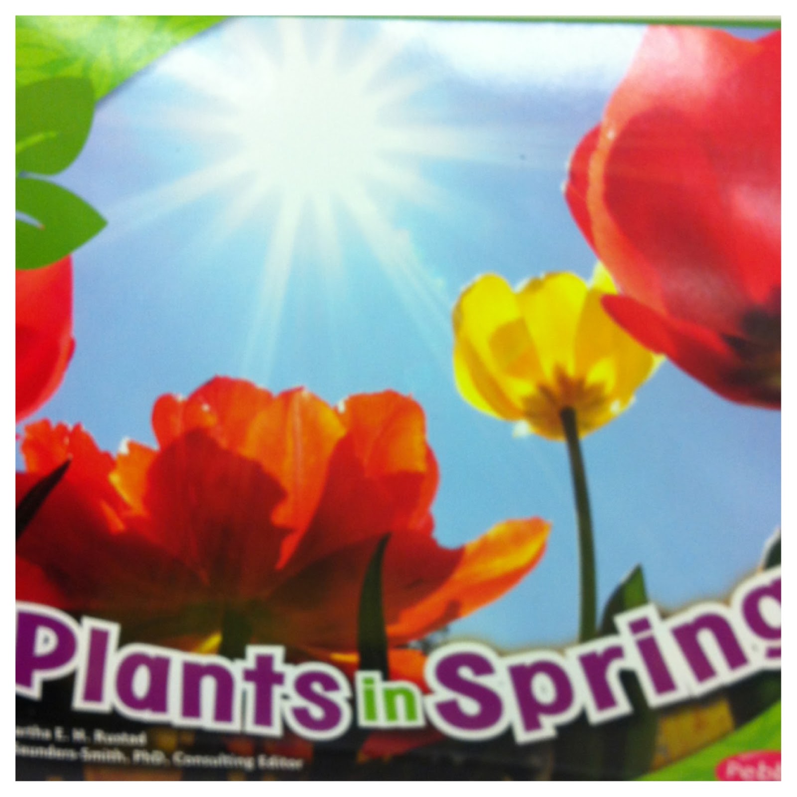 Little Miss Hood's Adventures in Kindergarten: Spring & Easter Fun