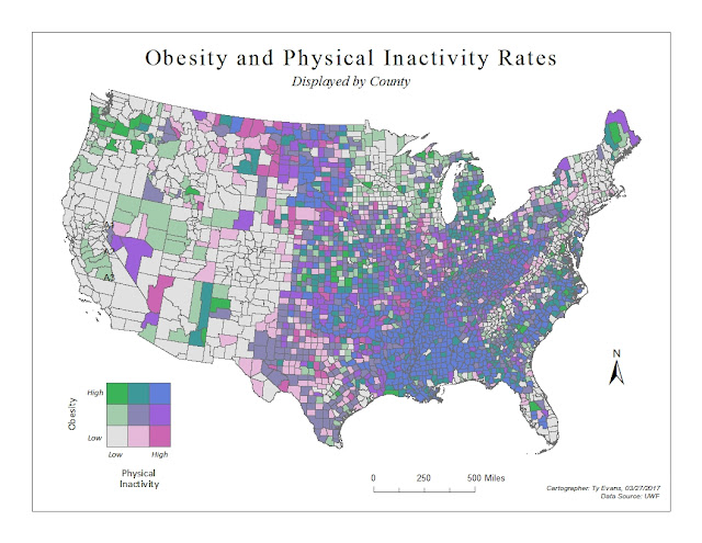 Ty's GIS: GIS 6005 Lab 9: Bivariate Choropleth Mapping