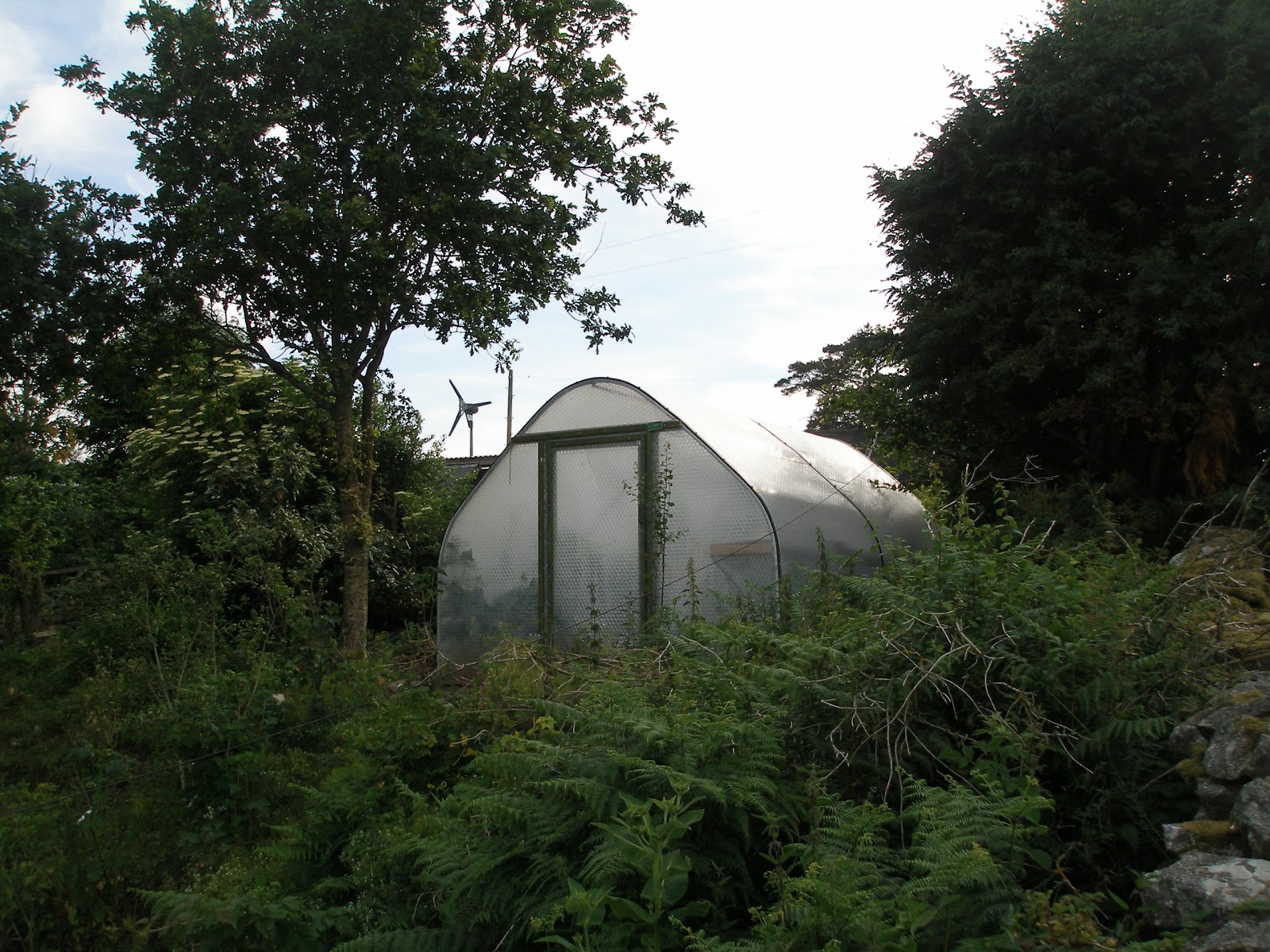Backsbottom Farm: The Keder polytunnel