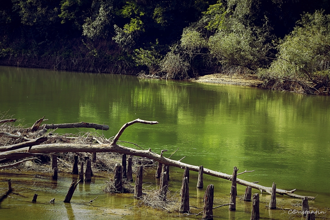 FOTO-IDEEA: Prutul nostru cel de toate zilele