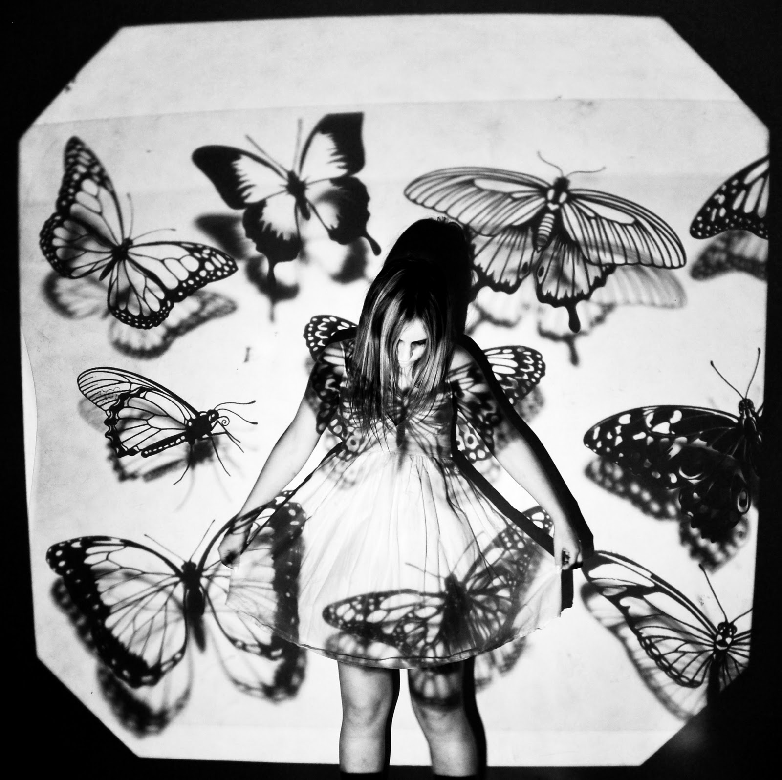 Paula Media A2: BUTTERFLY PROJECTIONS
