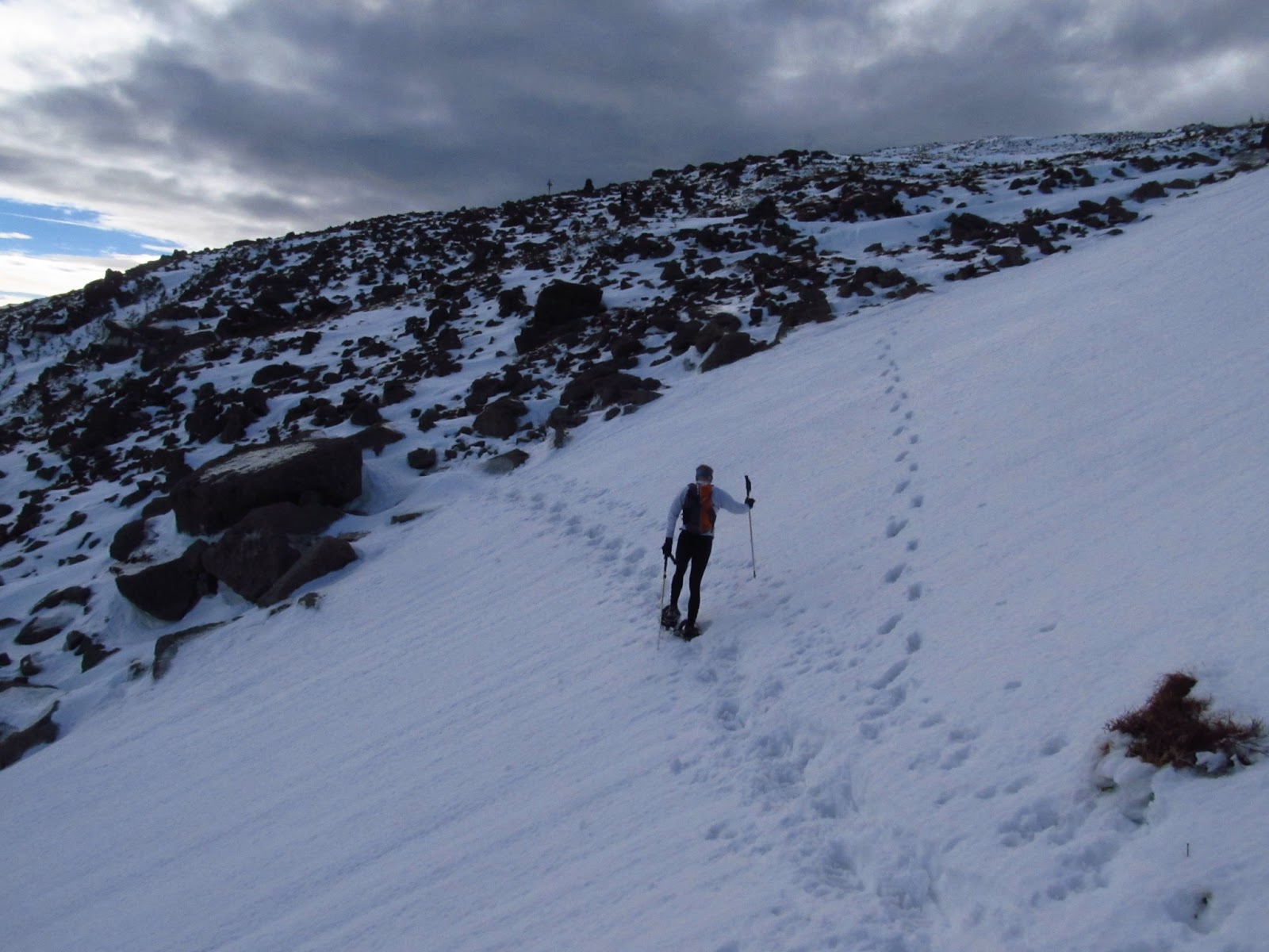 A Glimpse Inside the Head of a Mountain Man: Winter Presidential ...