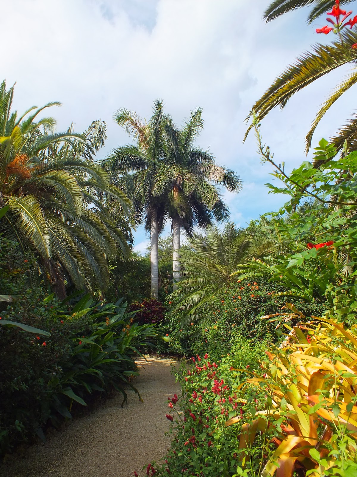 “To travel is to live.” - Hans Christian: The Blue Iguana - Grand ...